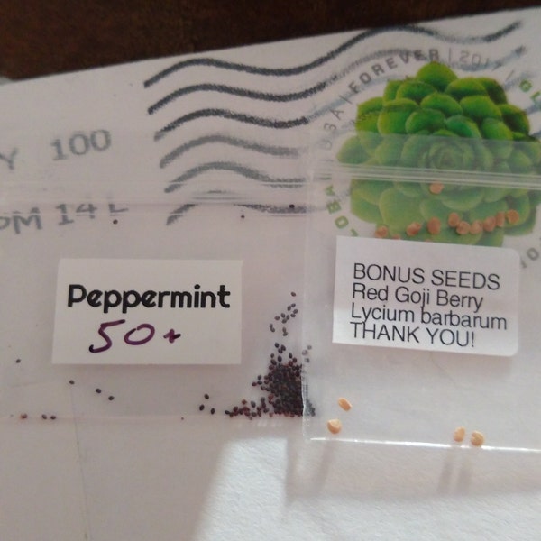 Wild Chiltepin Chile Pepper Seeds ~capsicum Annuum~ Chili ~ SHU 50,000 ...