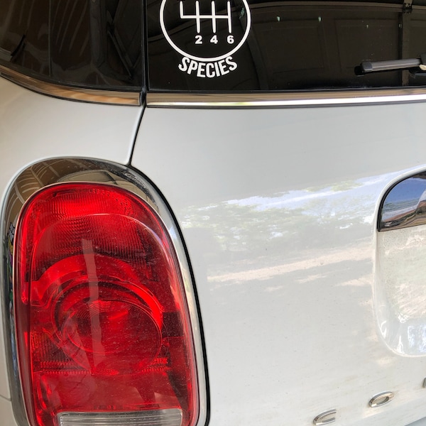 6 Speed Gear - Endangered Species - Stick Shift - Manual Car - Car ...