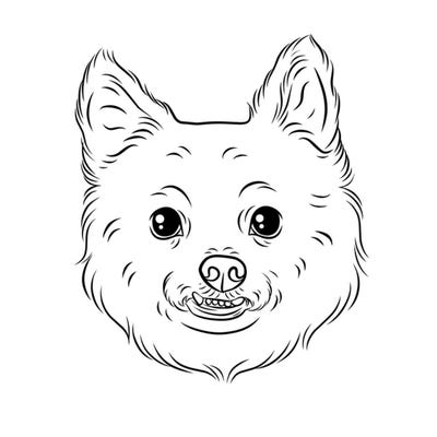 Digital Pet Outline SIMPLE Dog Cat Vector Line Out Drawing, Pet Sketch ...