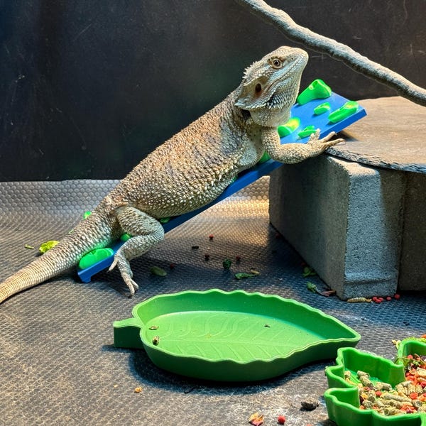 Shipping Container Reptile/small Pet Hide - Customized 4 Sizes 2-3WK ...