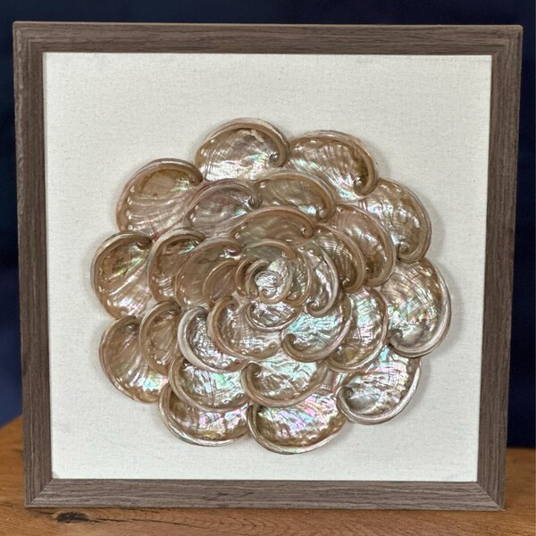 Red Abalone Art, Shell Wall Art, 3D Shell Art, Coastal Shell Art ...