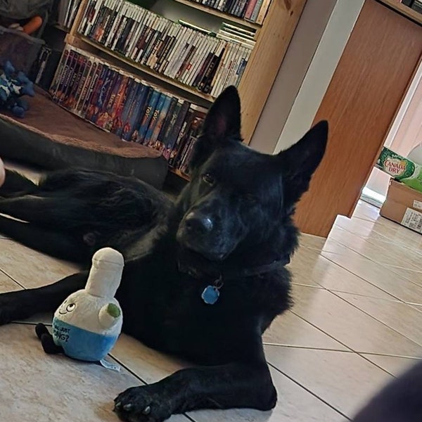 Punchkins Plush Gifts - "it's Tuesday Somewhere" Funny Plush Meme ...