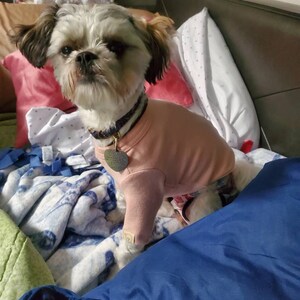 Daisy Chiffon Crop Top XS-2XL Dog-shirts Dog Top Dog - Etsy