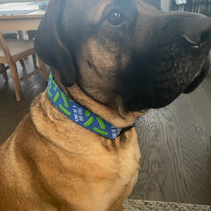 Rainbow Paw 2 Inch 1 Inch Dog Collar Big Dog Collar - Etsy