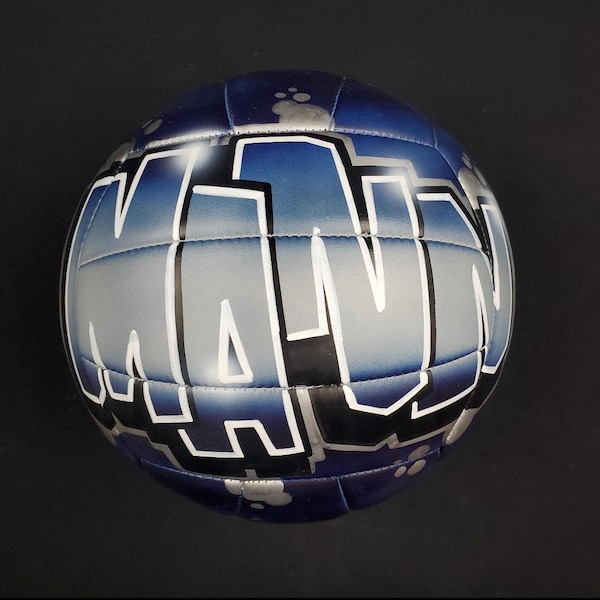 Custom Volleyball Hand Painted Ball Unique Personalized Sports Gift ...