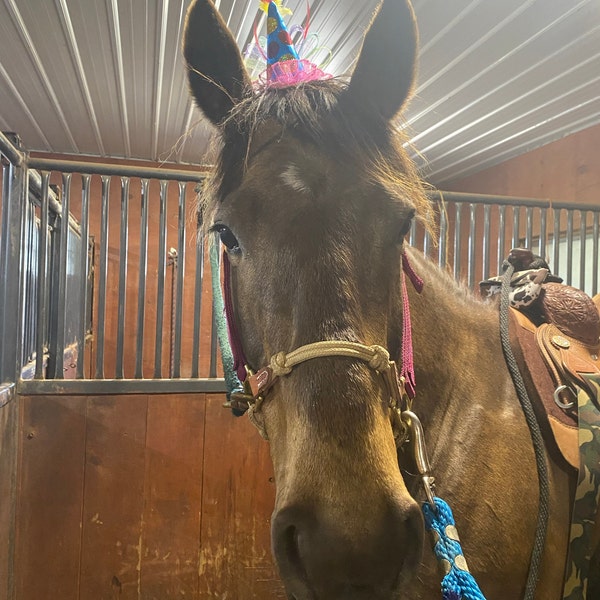 Chivalry Chanfron Horse Face Armor Medieval Equine Foam Armor Barding ...