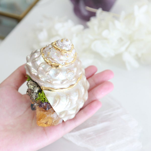 Extra Large Sea Urchins, Beach Decor, Coastal Decor, Coastal Homeware ...