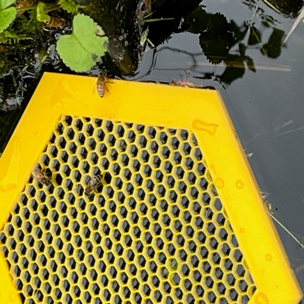Floating Bee Island, Bee Waterer, Bee Water Station, Colorful Bee ...