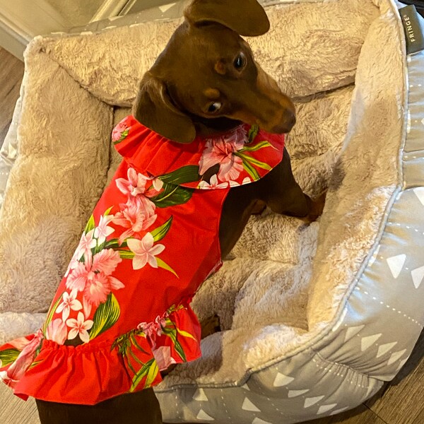 Hawaiian Print Dog Dress Mu'umu'u Style Dress for Your Pet, Red Dog ...