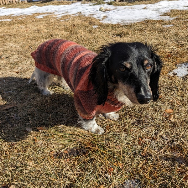 Dachshund Sweater - Dog Clothes - Dog Clothing - Dog Sweater ...
