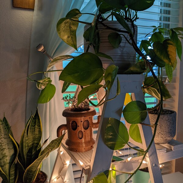 3D Printed Hand-painted Gyroid Lloid Succulent Planter Vase Inspired by ...