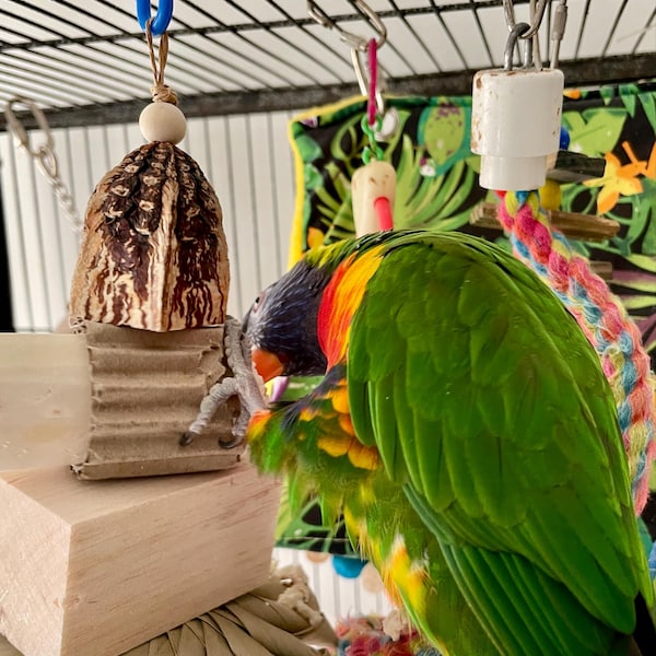 Sola Ball Fun - Hand Made Toys for Small to Medium Pet Birds Using Safe ...