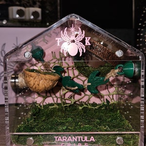 Jumping Spider Ledge With Feeder Dish - Etsy