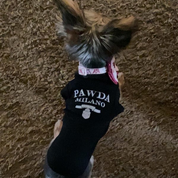 Designer Dog Hoodie or Shirt Prada "pawda" Fun Trendy Cozy Pet Sweater ...