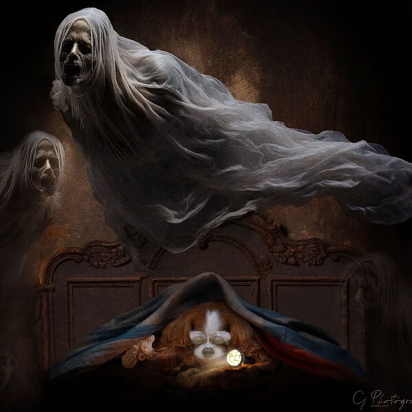 Ghost Story Digital Backdrop for Composite Images, Photo Insert ...