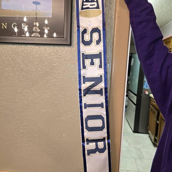 Coquette Bow Bridal Lingerie & Veil Set 2pc • Silver Glam Bride Thong ...