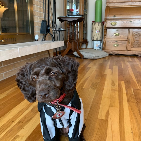 Referee Dog Shirt/costume for Small Dogs Great for Sporting Events ...