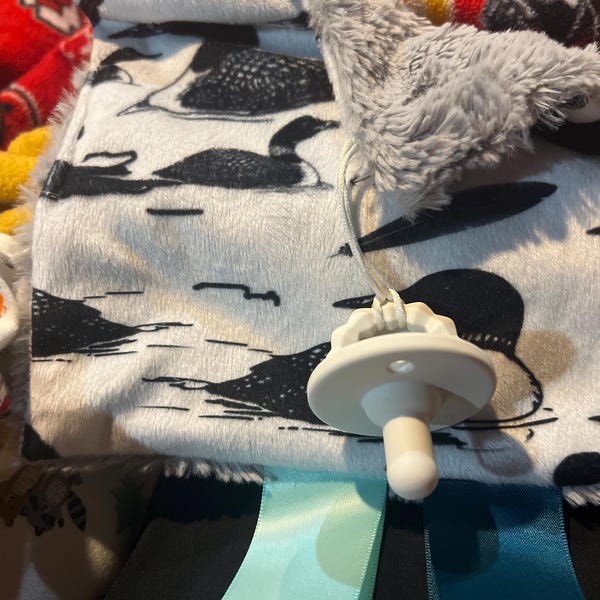 Mallard Duck Pacifier Holder: Minky Crinkle Sensory Toy - Etsy