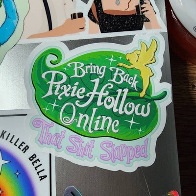 I AM UNHINGED Bibble Meme T-shirt Fairytopia Bibble Flames - Etsy