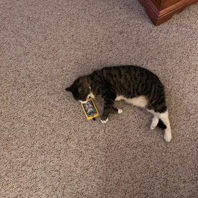 Pittsburgh Cat Toy Cell Phone - Etsy