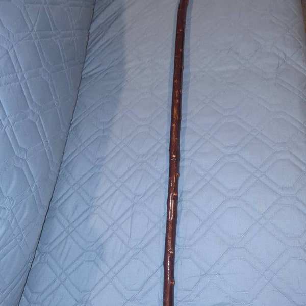 A Stout Irish Blackthorn Walking Stick With 3 Coats of Tung Oil ...
