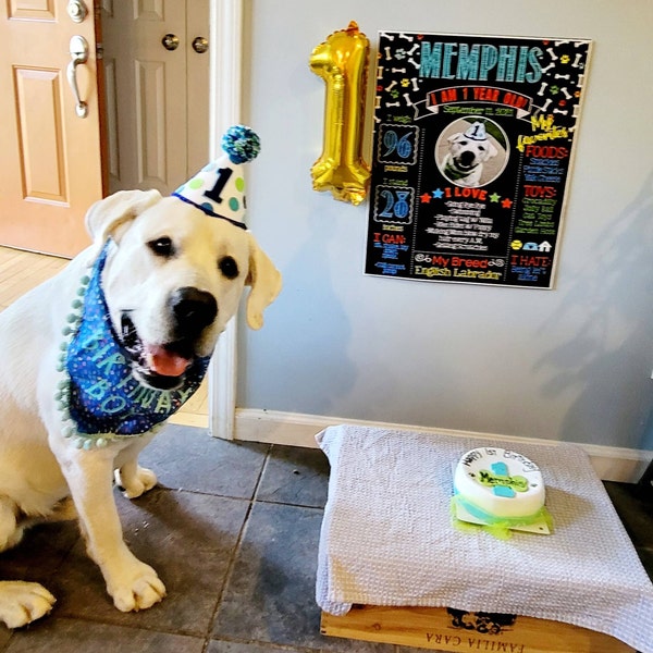 Printable Dog Birthday Board With Photo - Instant Download Template ...