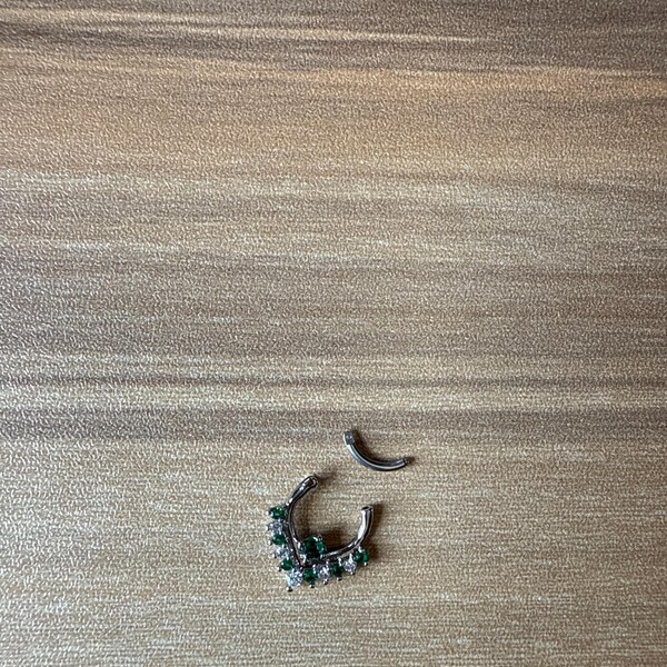 16G Abalone Shell Moth Septum Ring/hinged Segment Septum Clicker/daith ...