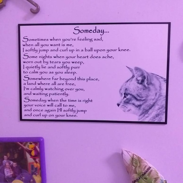 Cat Memorial Fridge Magnet: Pet Loss Bereavement Gift - Etsy