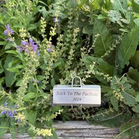 All Weather Tags for Trees or Shrubs | Custom Engraved UV Resistant ...