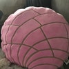 Pan Dulce "concha" Plush Cushion - Etsy