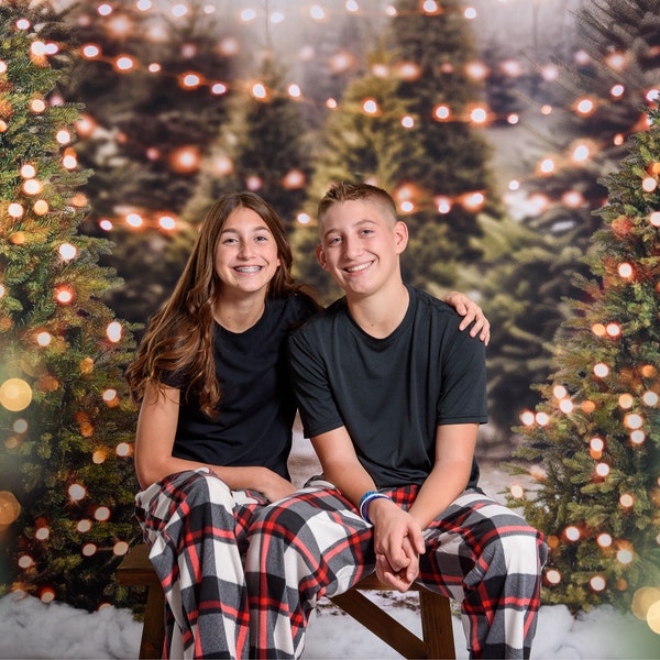 Pine Branch Overlays, Fir Branch Overlays, Leaf Png, Branch Png, Pine ...