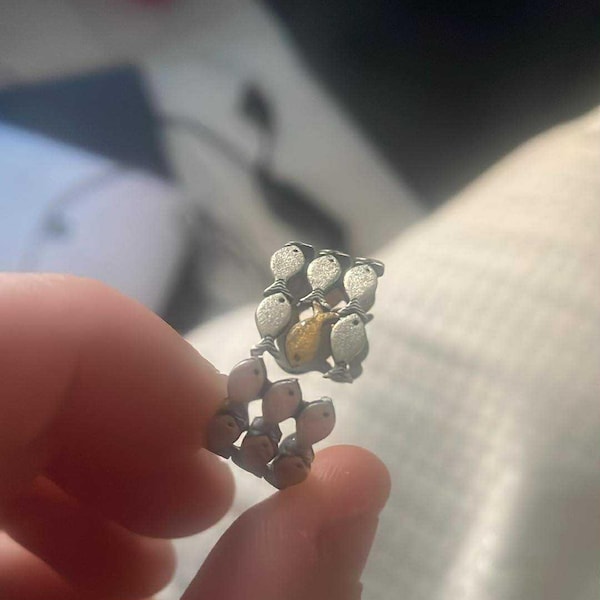 Swimming Against the Current. Sterling Adjustable Ring. School of Fish ...