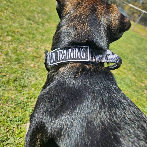 Medieval Dragon Sticker Decal, Car Truck Window Bumper, Die-cut Vinyl ...