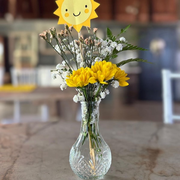 Sunshine Centerpieces, You Are My Sunshine, Trip Around the Sun - Etsy