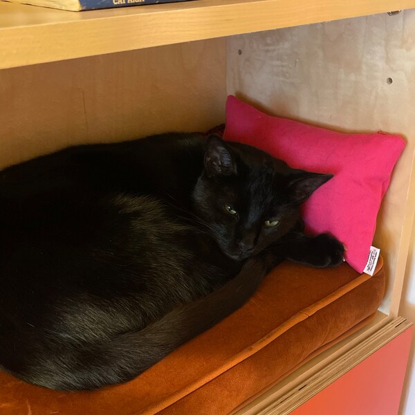 Nido Cat Bed Covers - Etsy