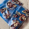 20 Blue Window Daisy Flowers Garden Flower Seeds for Spring Summer Gmo ...