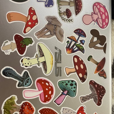 25/50 Vinyl Movie Night Stickers, Die Cut Decal Set, Waterproof ...