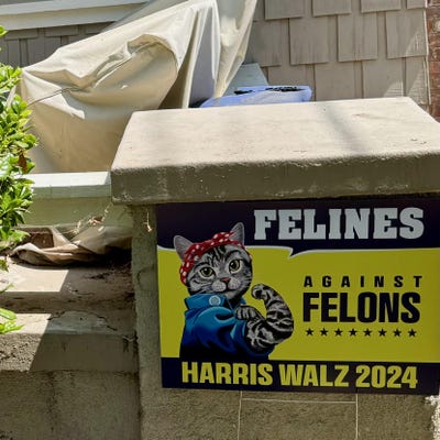 Vote Harris Walz Plastic Yard Sign, Kamala Harris Walz 24 Yard Sign ...