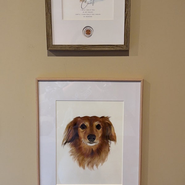 Coin Frame | DIY Frame Kit for Coins | Coin Display | Coin Holder ...