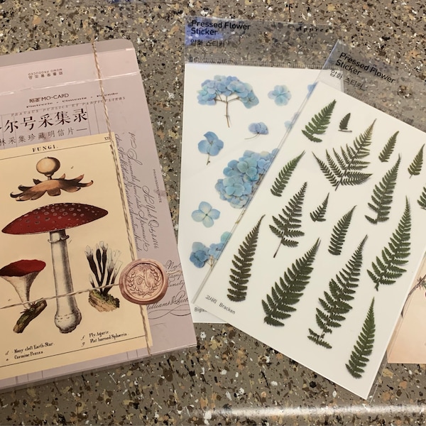 Vintage Style Postcards by Mo•card for Scrapbooking - Set of 30 Retro ...