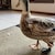Medium Bird and Chicken Prosthetic Leg. - Etsy
