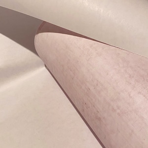 Neutral Canvas Textured Wallpaper / Venetian Plaster Faux Texture ...