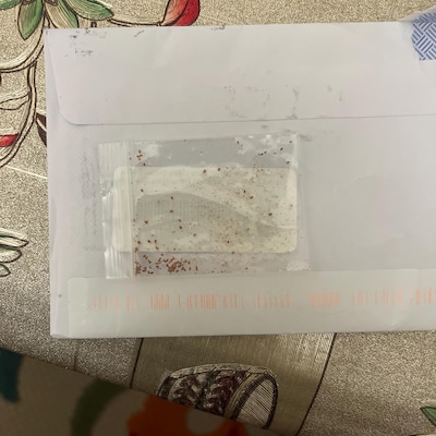 20pcs Hosta Plantaginea Fragrant Plantain Seeds Fire and Ice Shade Pink ...