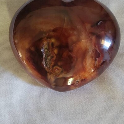 Animal Skull, Goth, Real Skull, Skull Jewelry, Oddities, Animal Bones ...