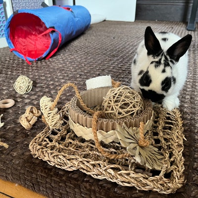 Rabbit Toys for Rabbits Natural Rabbit Activity Mat Organic Natural ...