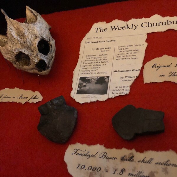 Raven Skull Replica Catalyst Studios Exclusive for Display Costume ...