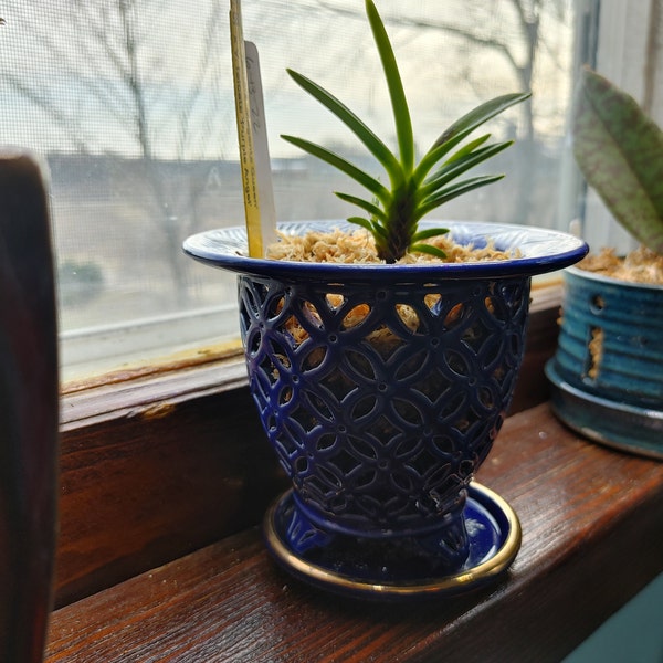 Furan Orchid Pot Fu Ran Pot Neofinetia Pot Fukiran Furan Pot Dendrobium ...