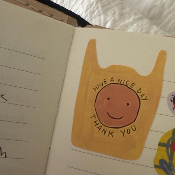 Mystery Sticker Pack - Pinterest Aesthetic Stickers, Junk Journal ...