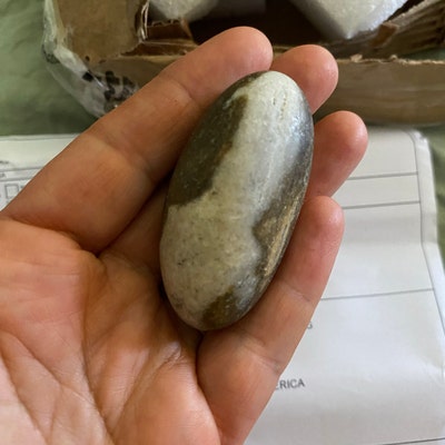 98 Elongated Flat Sea Pebbles for Pebble Art and DIY Supplies Mineral ...