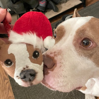 Pug Dog Christmas Tree Topper // Dog Tree Topper // Pug - Etsy